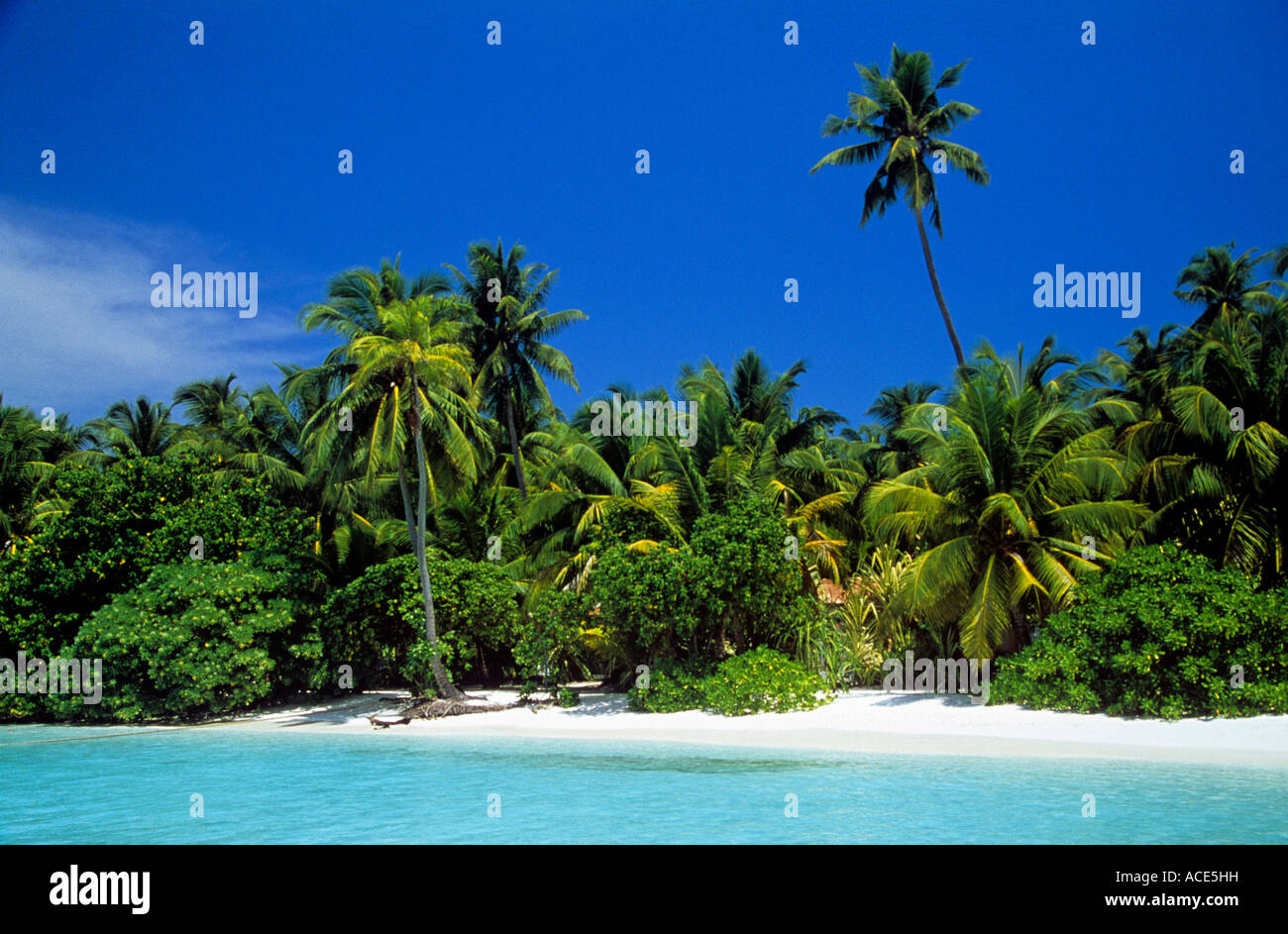 Villivaru hi-res stock photography and images - Alamy