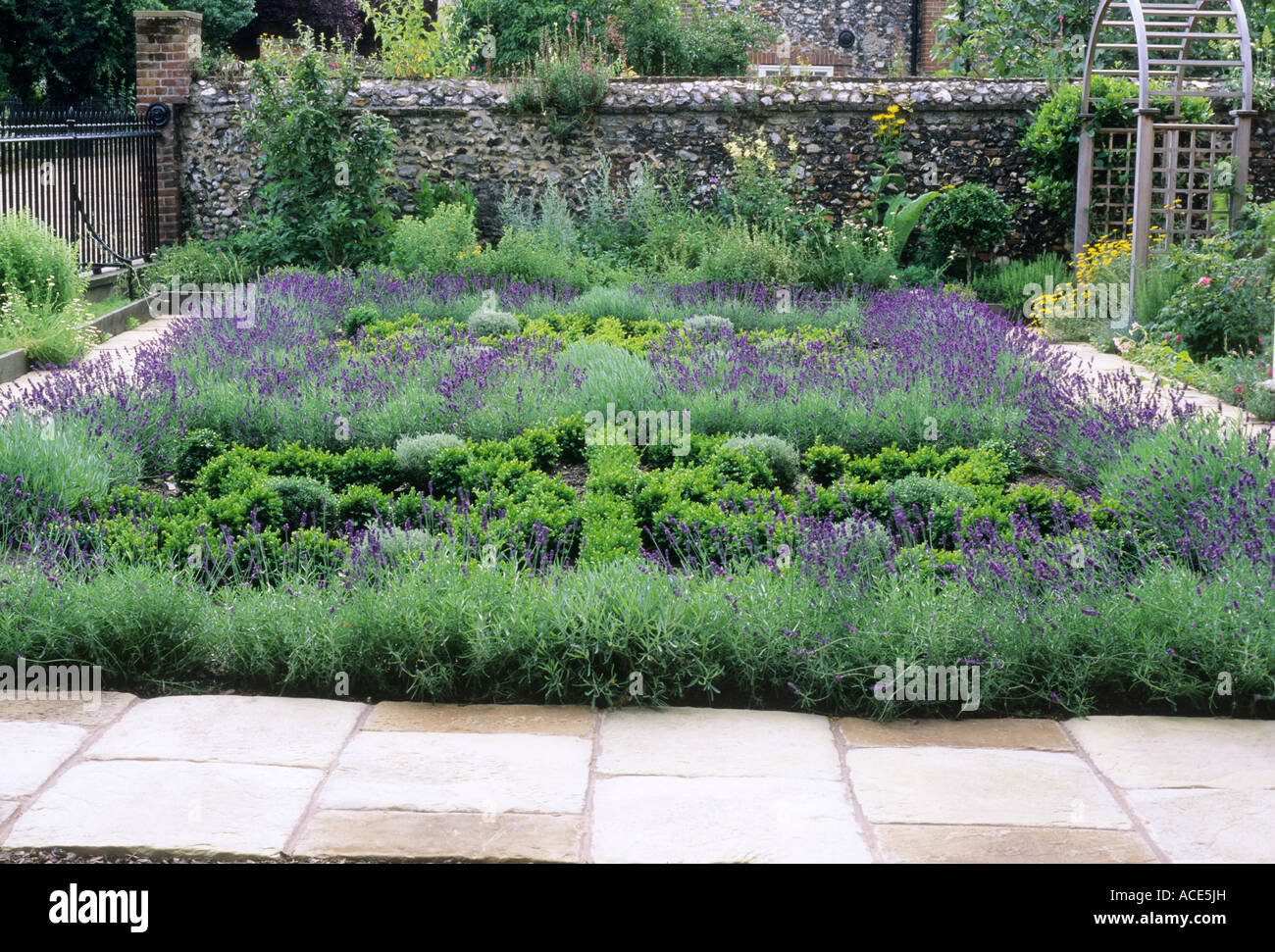 Herb knot front garden lavender box hedges paving Stock Photo - Alamy