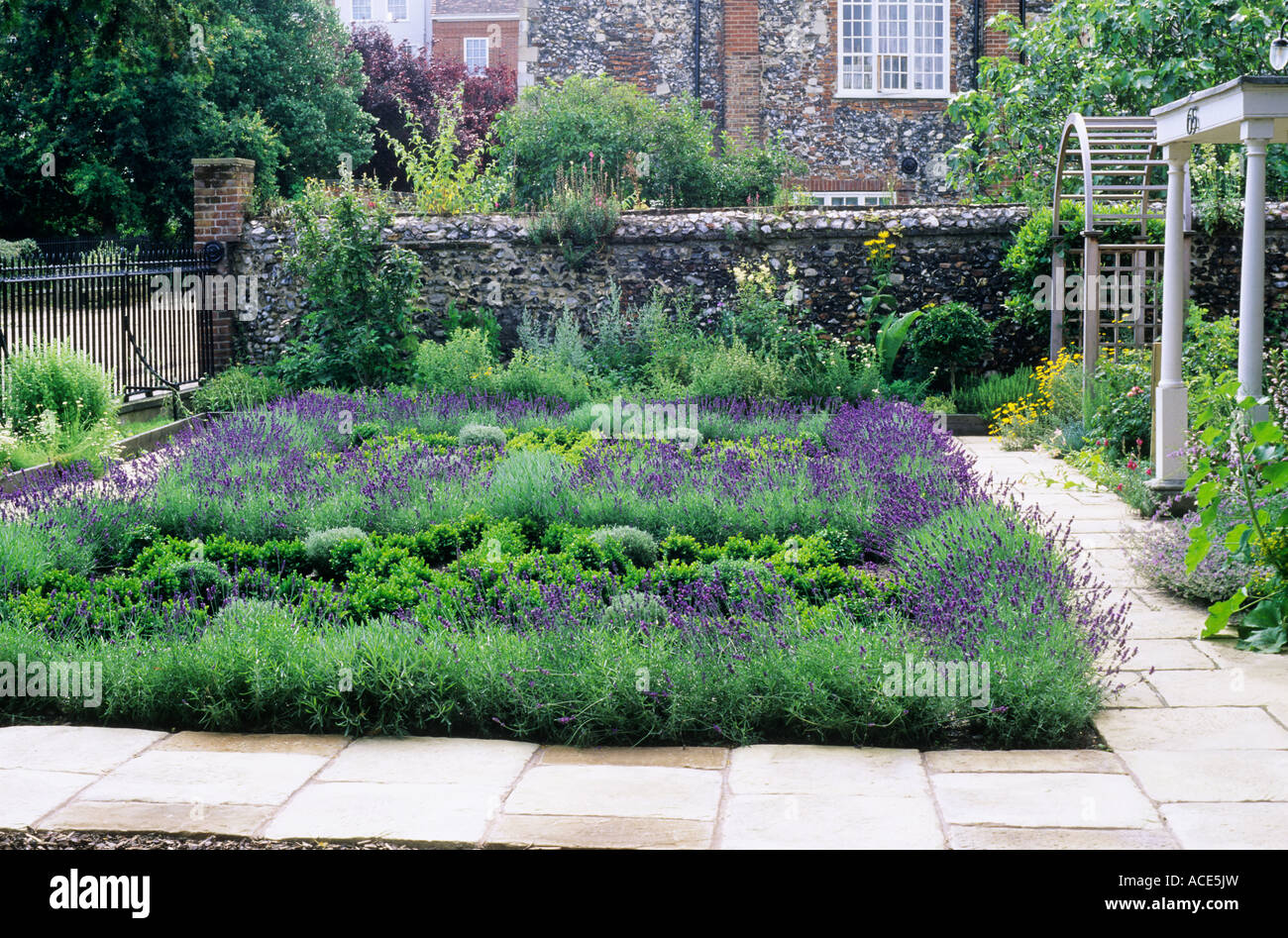 Herb knot front garden lavender box hedges Stock Photo - Alamy