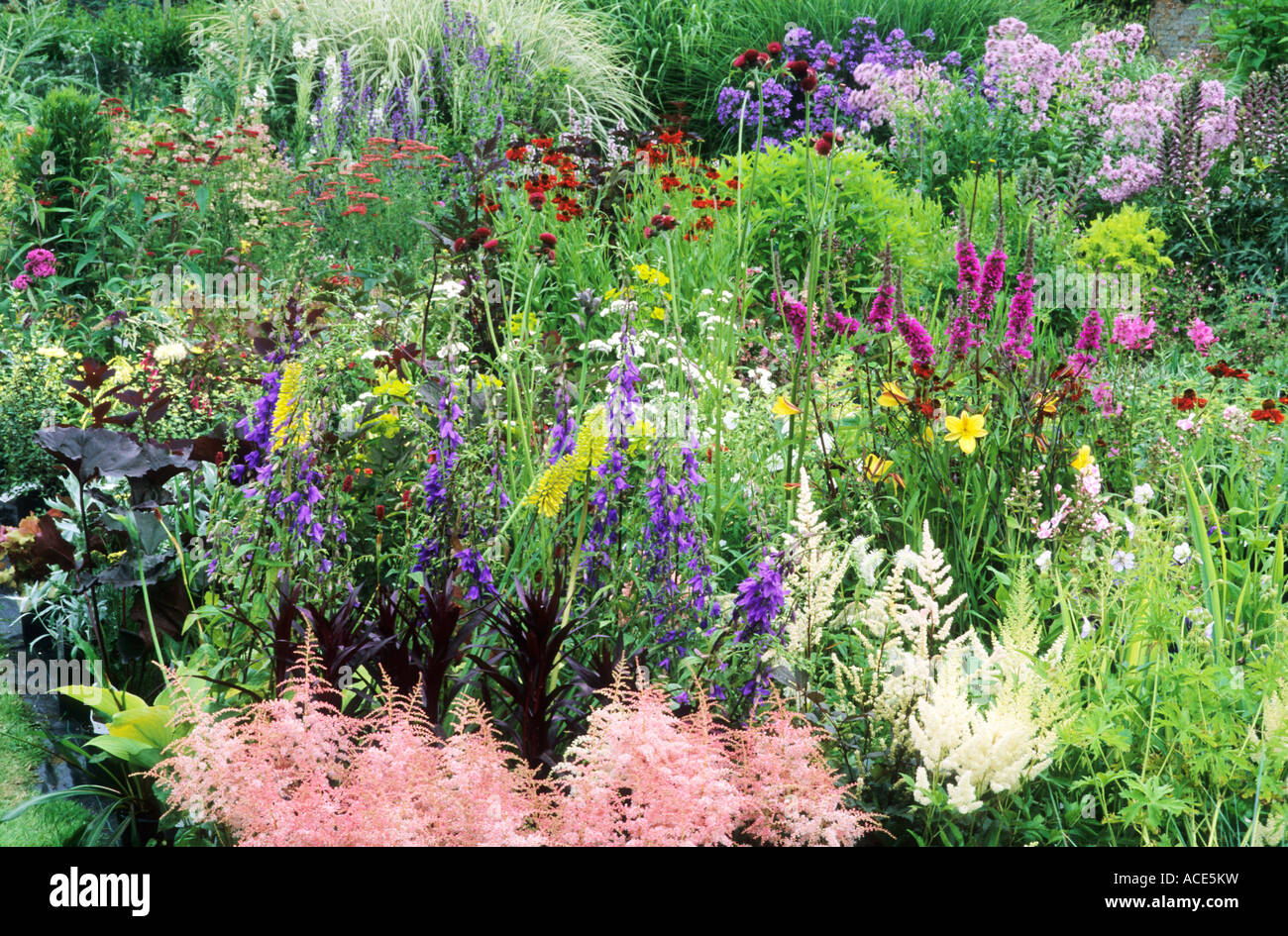 July Border all colours perennial planting Stock Photo - Alamy