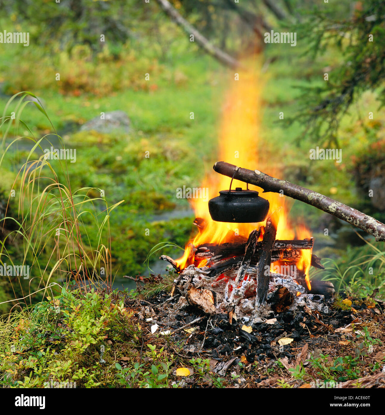 A pot hanging over a camp fire Stock Photo - Alamy