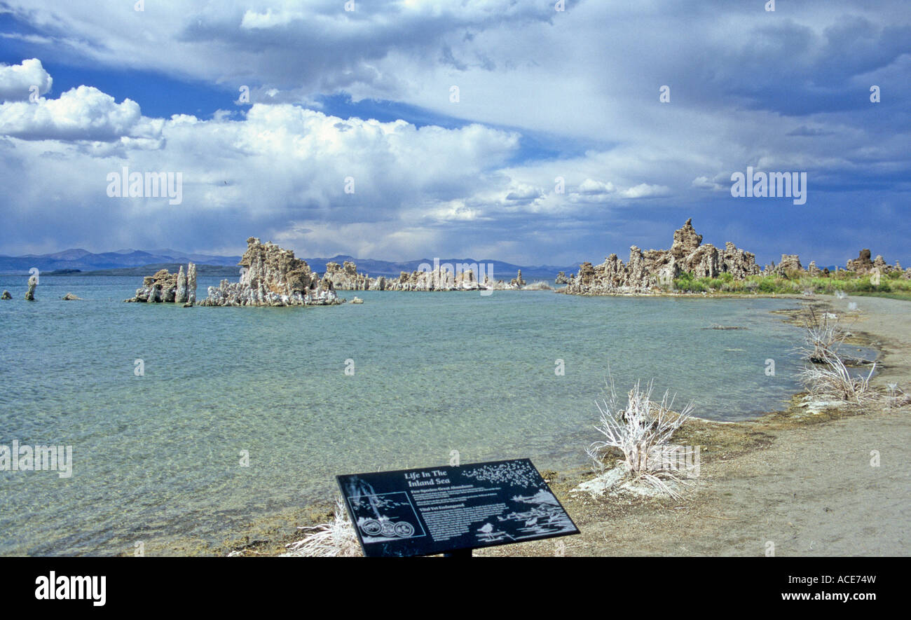 Interpretive sign at South Beach at Mono Lake Stock Photo - Alamy