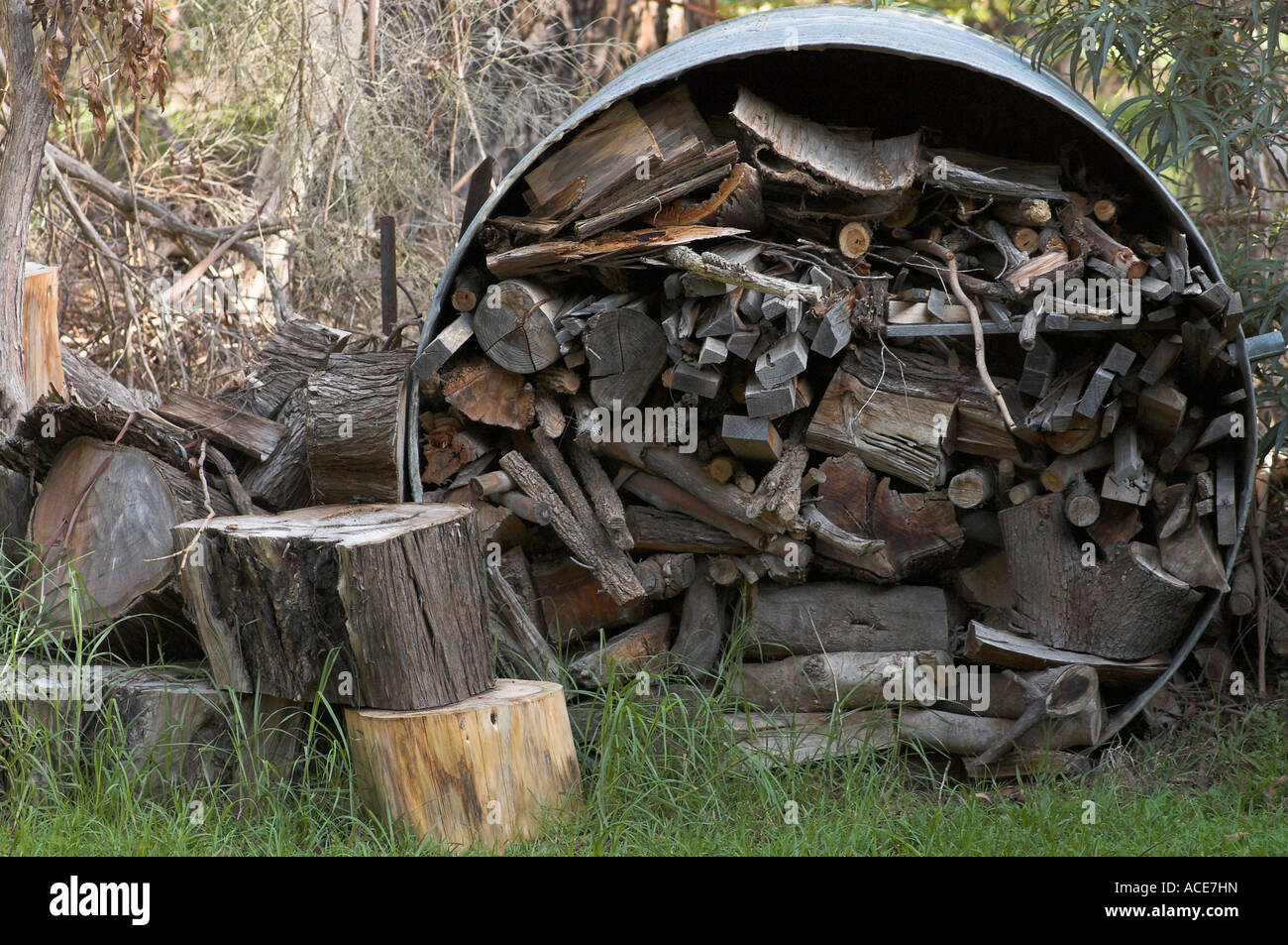 Corrugated bark hi-res stock photography and images - Alamy