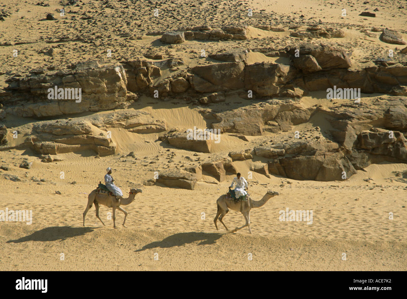 Camel bank hi-res stock photography and images - Alamy