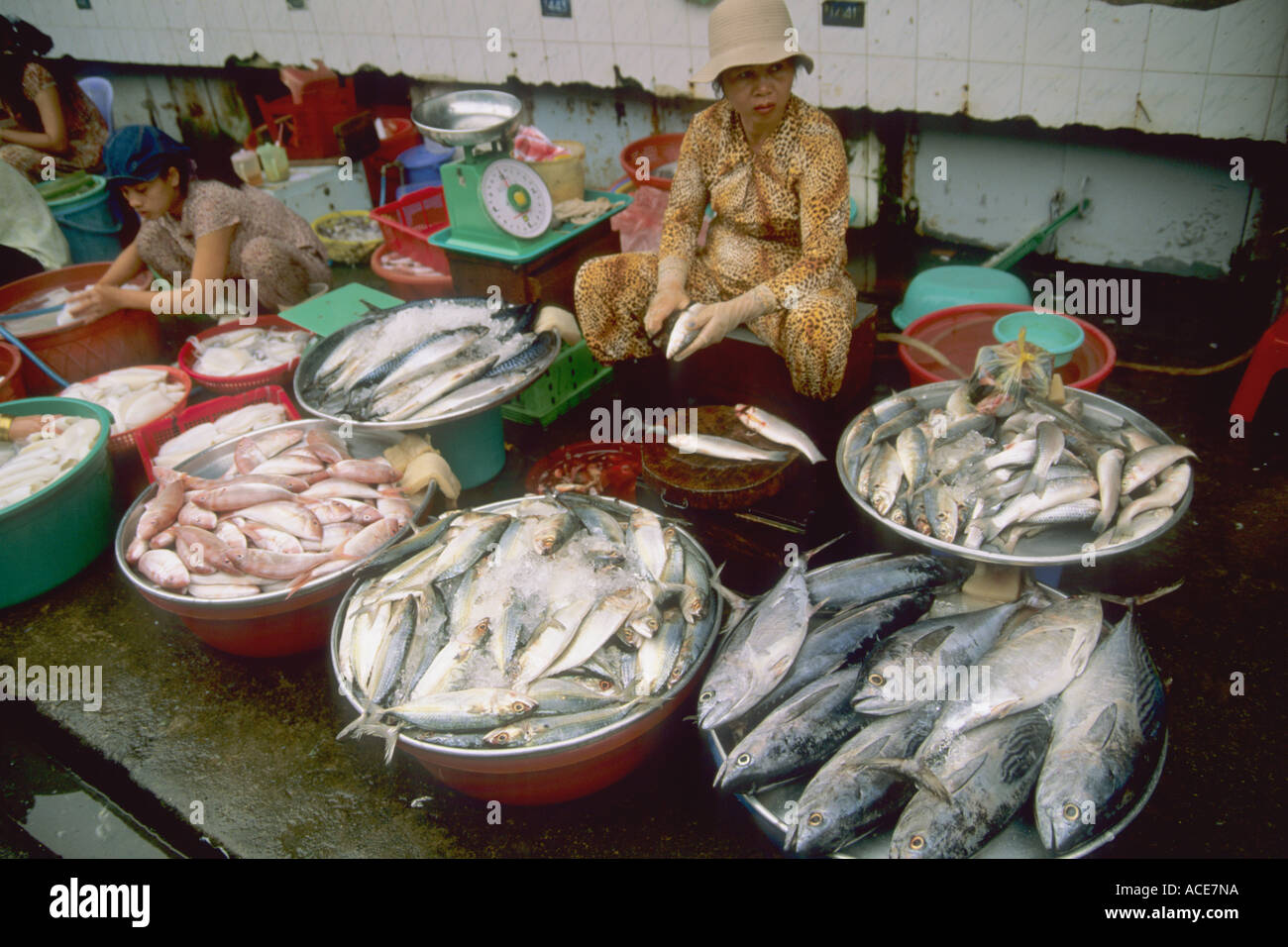 Vietnam Ho Chi Minh City Saigon fish market Stock Photo - Alamy
