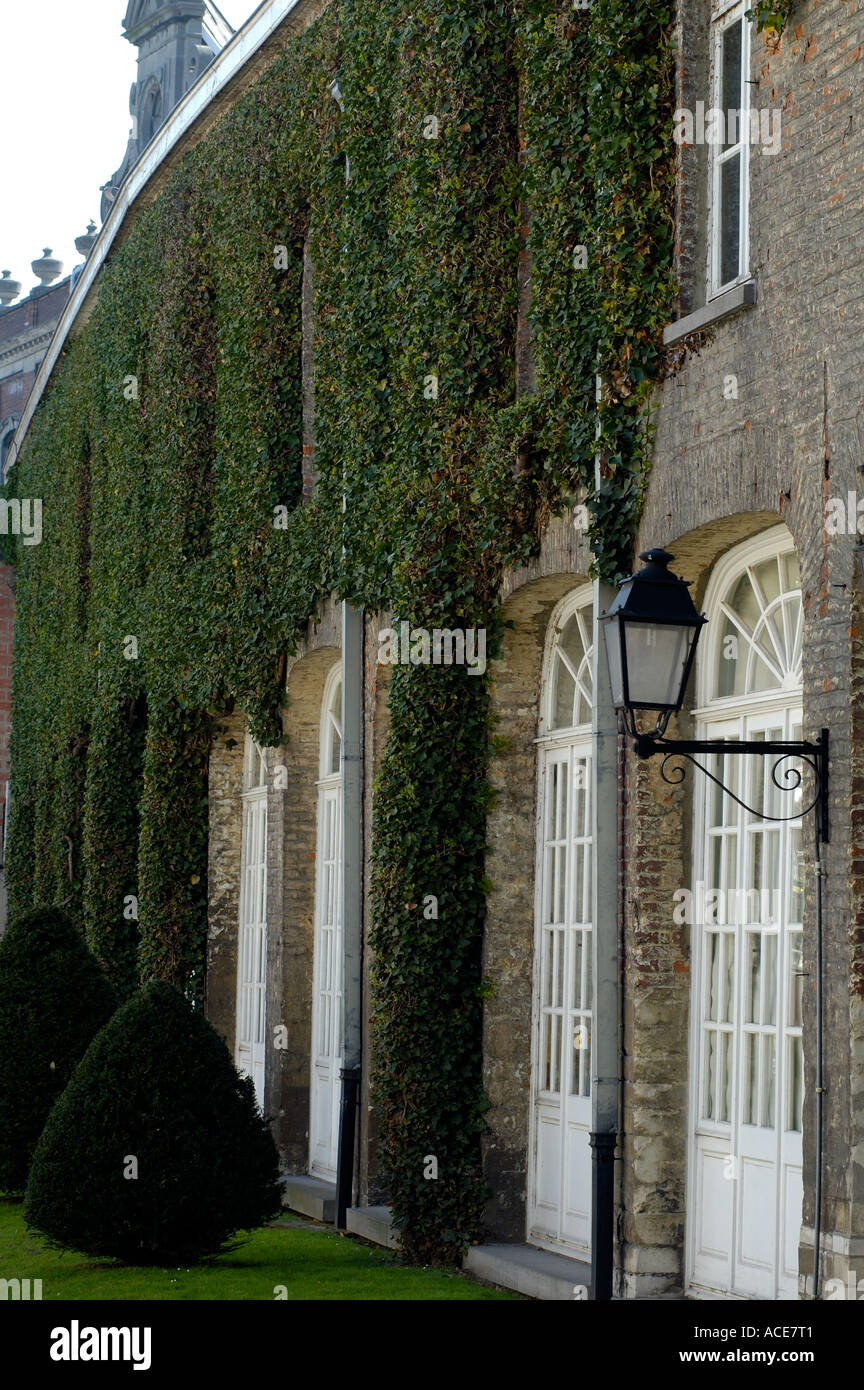 Ivy covered building Stock Photo - Alamy