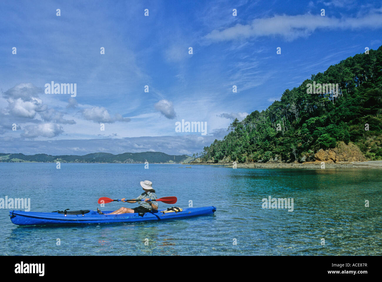 Roberton island new zealand hi-res stock photography and images - Alamy