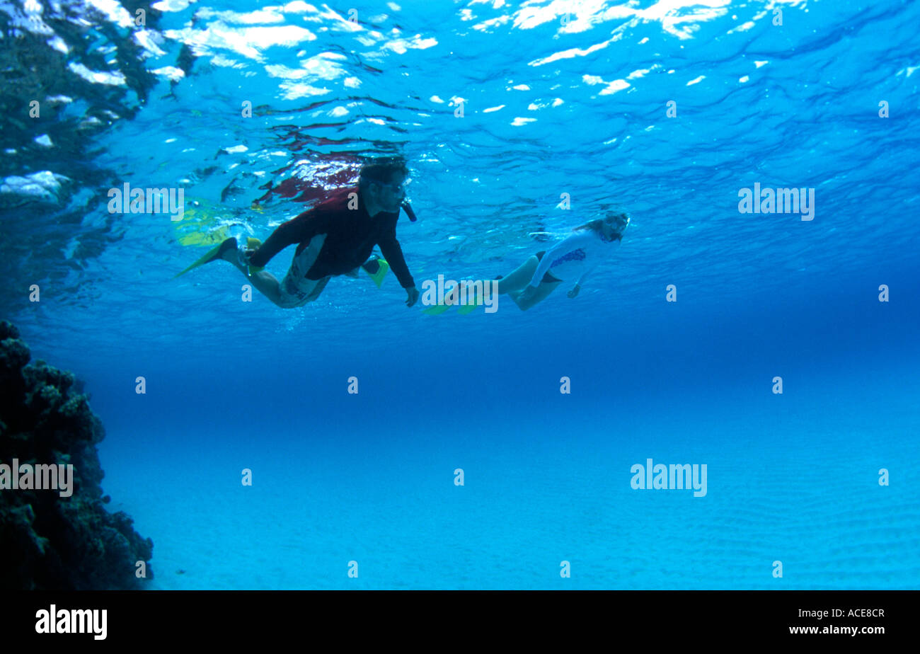 Tonga fish hi-res stock photography and images - Alamy