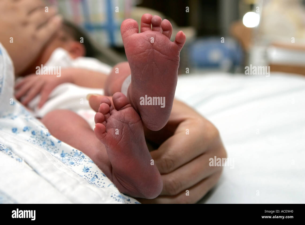 Premature baby feet hands hi-res stock photography and images - Alamy