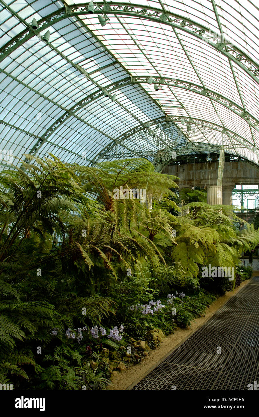 The Winter Garden Stock Photo - Alamy