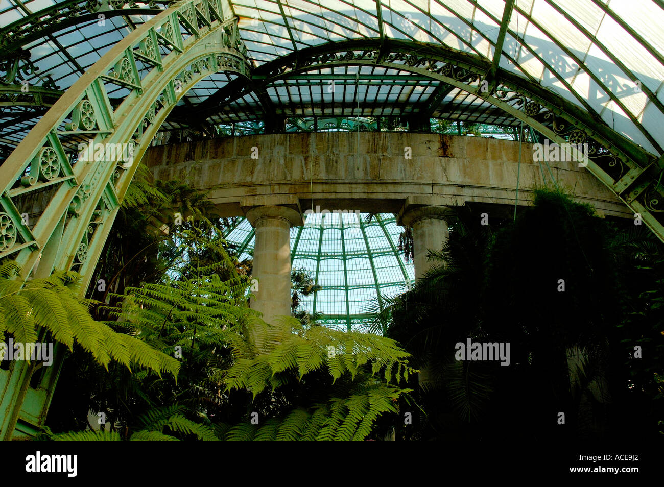 The Winter Garden Stock Photo - Alamy