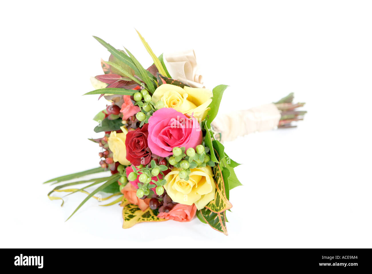 Colors green Cut Out Stock Images & Pictures - Alamy