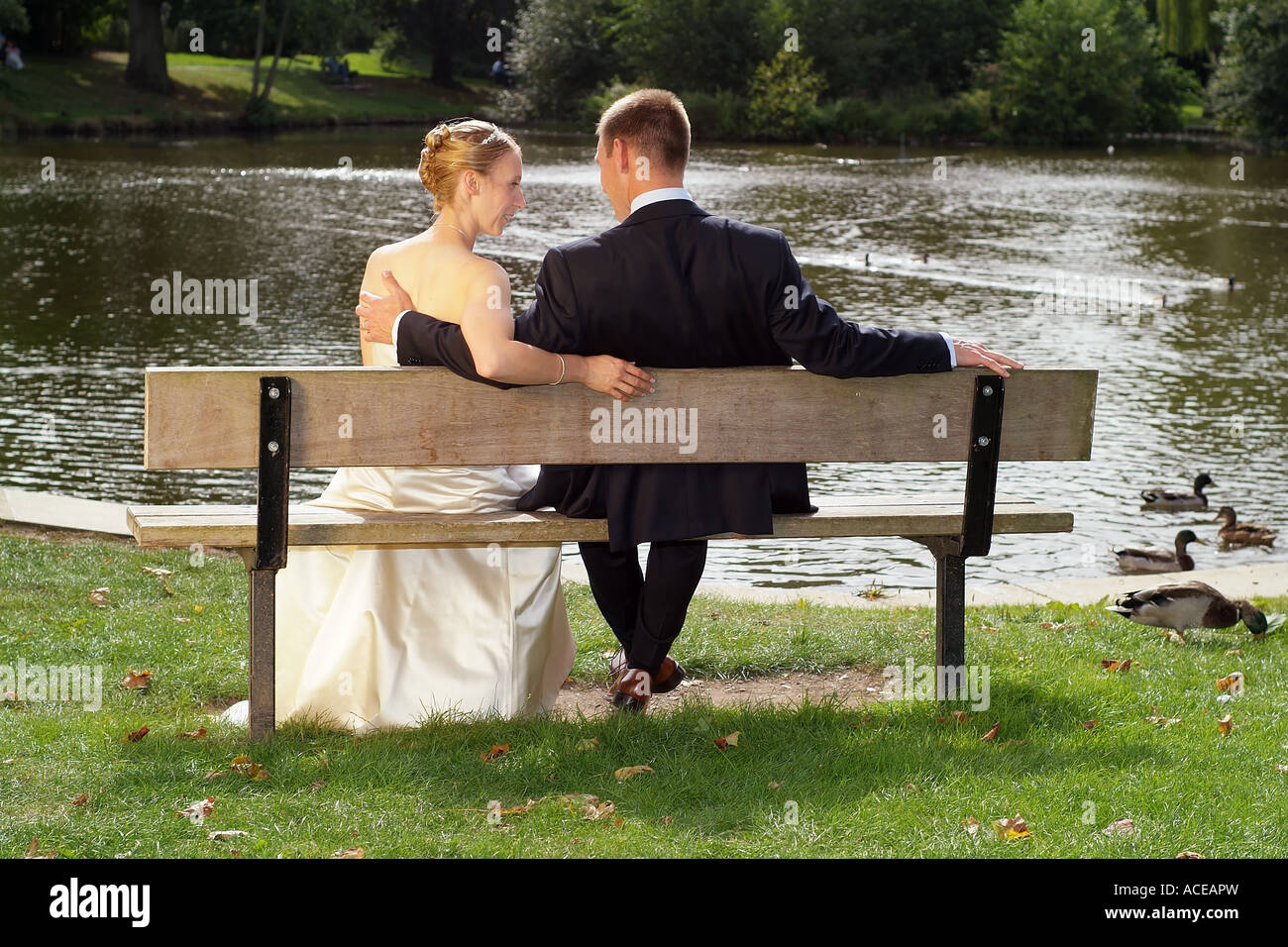 Bride and groom on bench romantic Stock Photo - Alamy