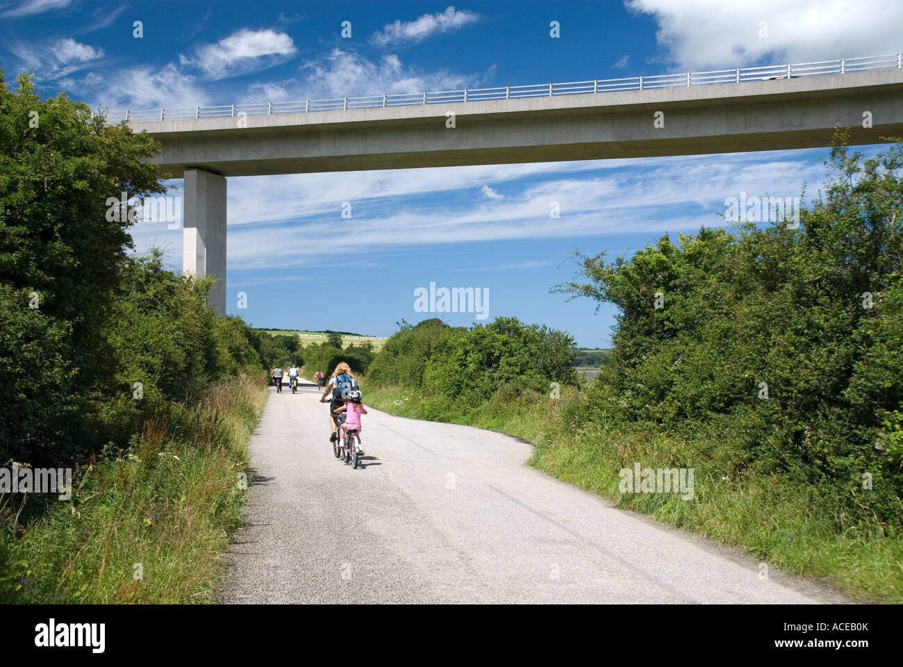 People cycling the Camel Trail near Wadebridge Cornwall Stock Photo - Alamy