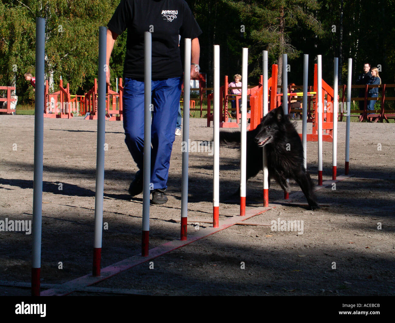 Training obstacles hi-res stock photography and images - Alamy