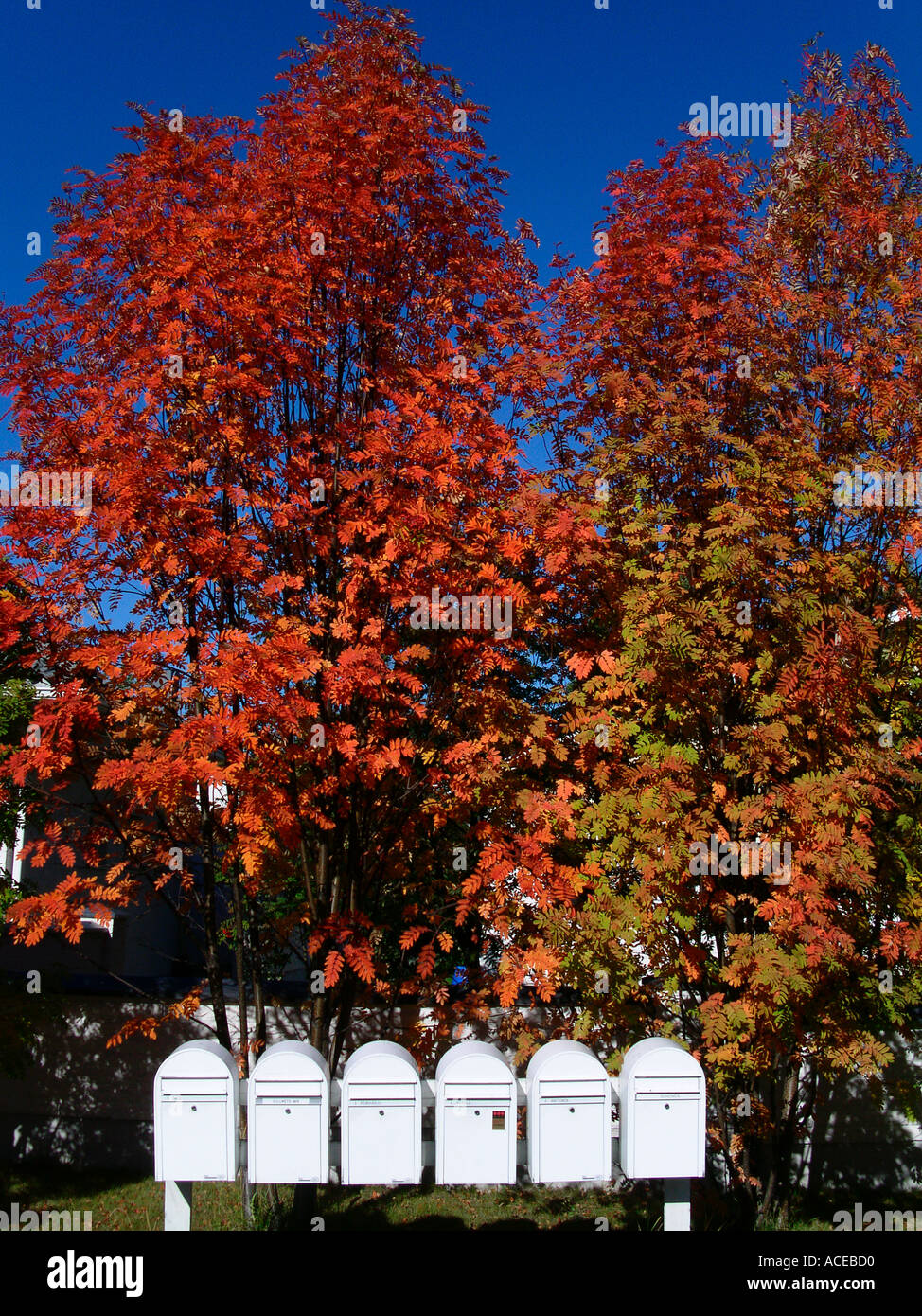 Finland mailboxes hi-res stock photography and images - Alamy