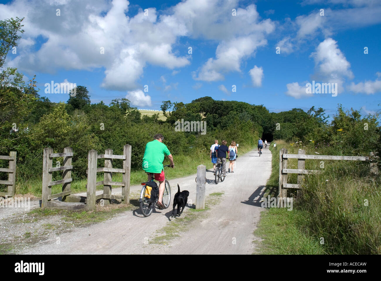 Camel trail cornwall hi-res stock photography and images - Alamy