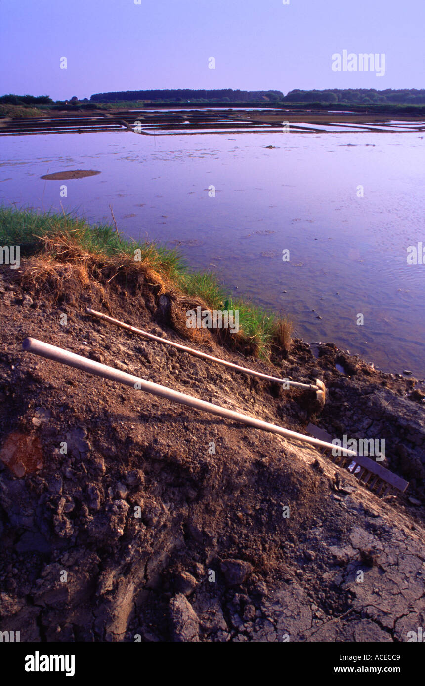 Rake salt hi-res stock photography and images - Alamy