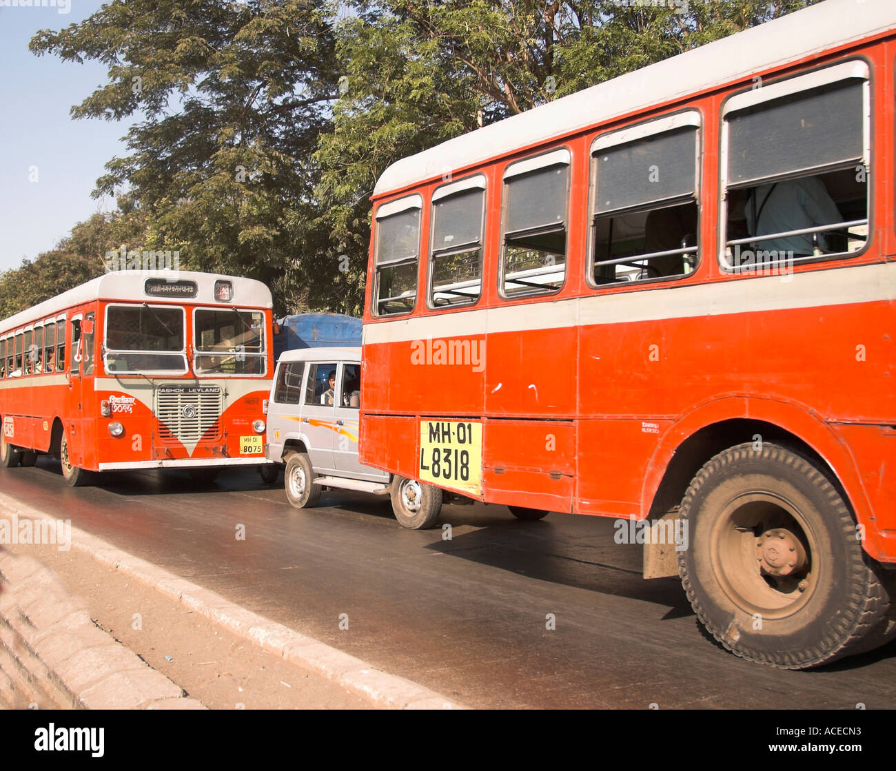 Red buses in Mumbai, India Stock Photo - Alamy