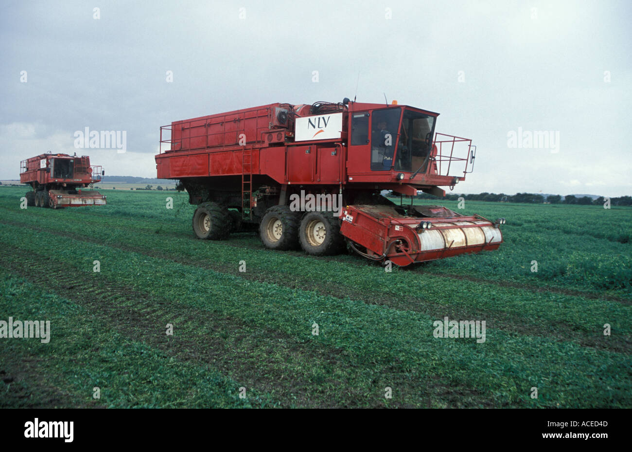 Viners hi-res stock photography and images - Alamy