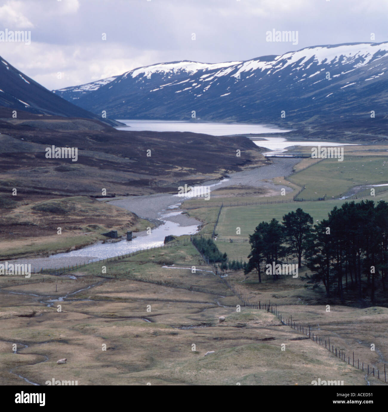 Our scottish future hi-res stock photography and images - Alamy