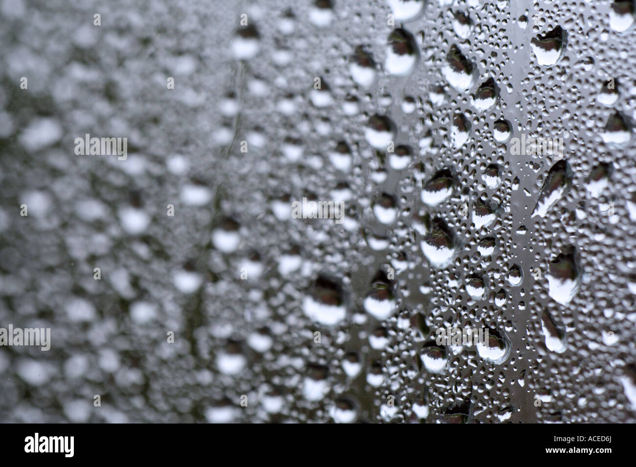 Droplets on window Stock Photo - Alamy