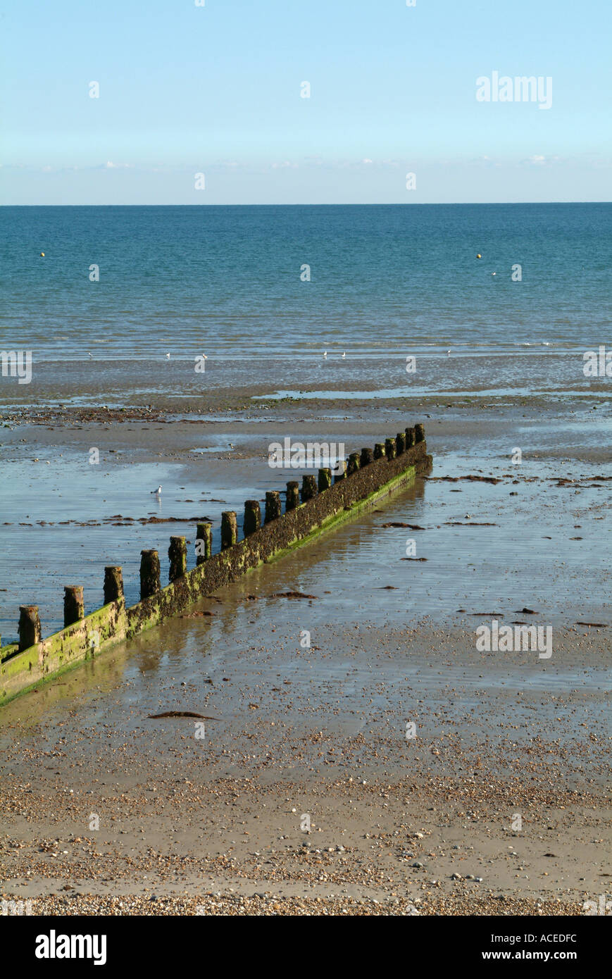 Protecting groin hi-res stock photography and images - Alamy