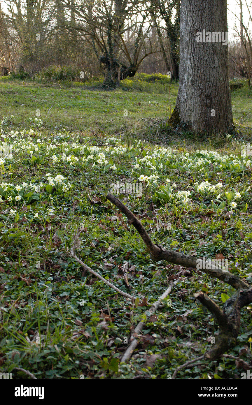 Triptych 2 hi-res stock photography and images - Alamy