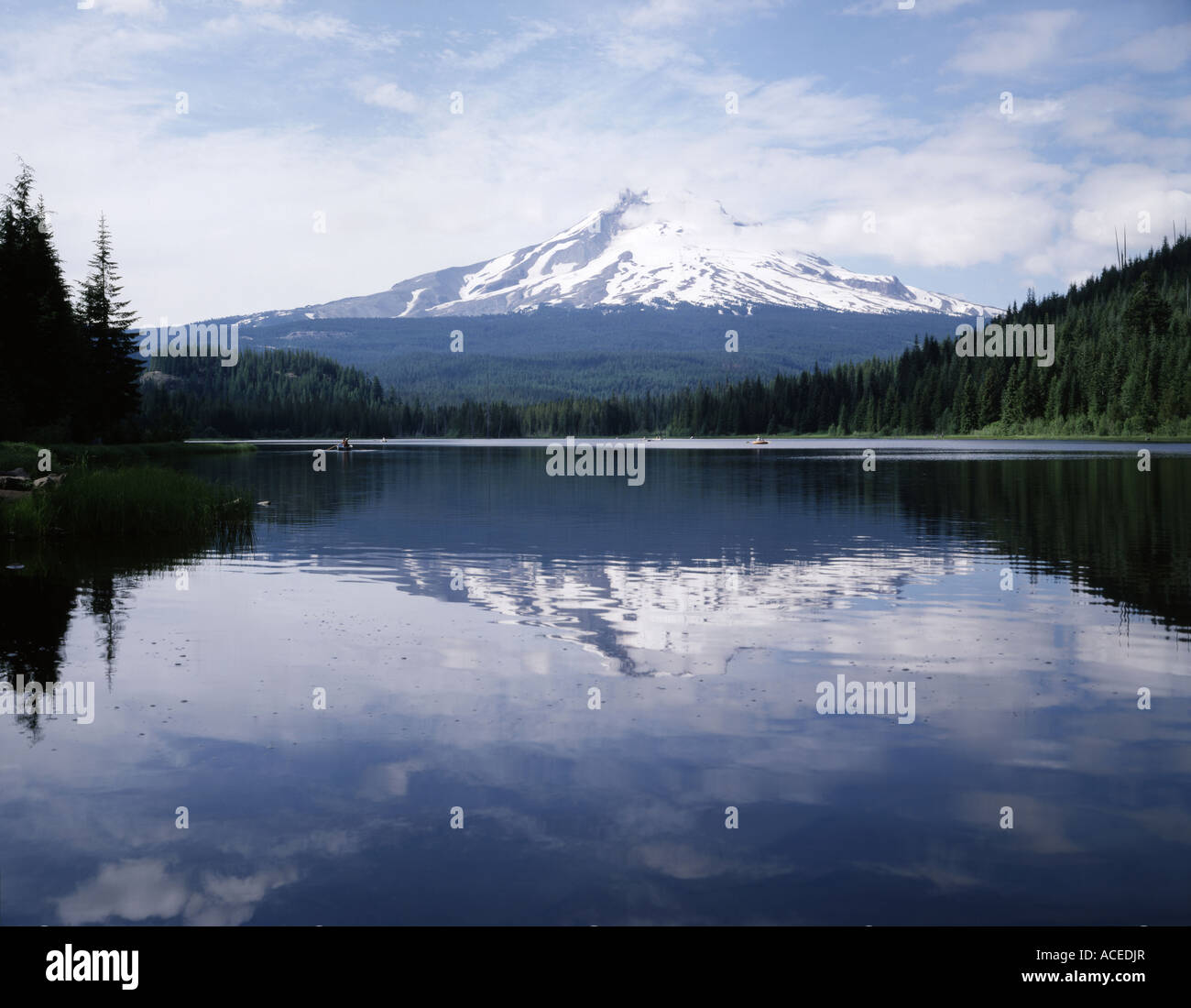 Mt.Hood, Trillium Lake, Oregon Stock Photo - Alamy