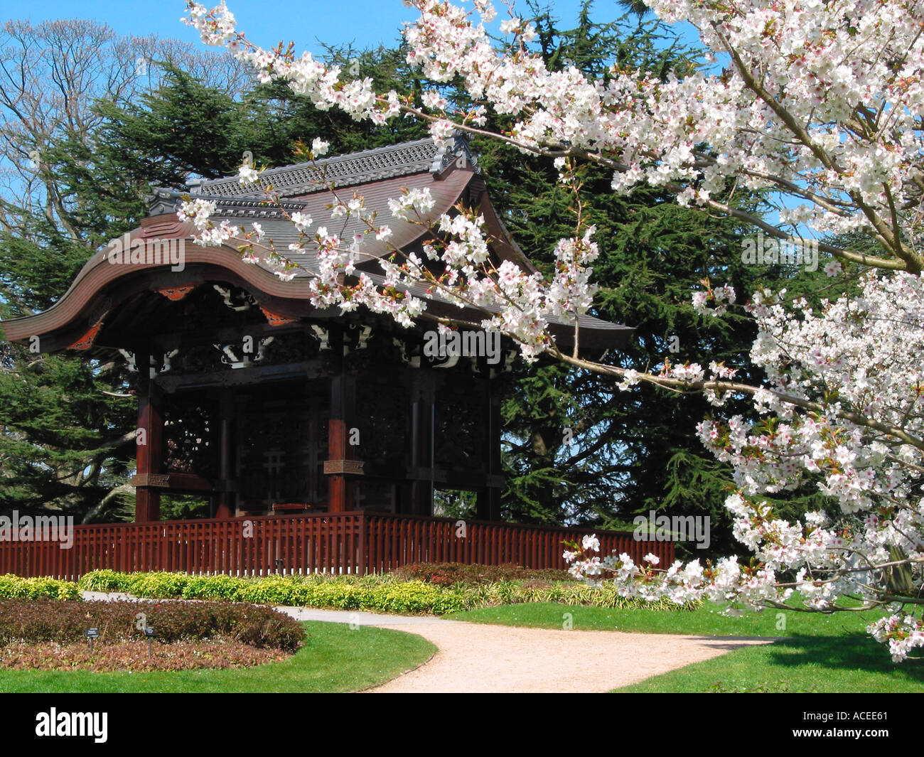 Japanese Gateway and Spring Blossom Kew Gardens London England Great ...