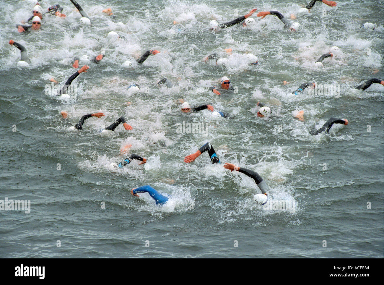 Swimmers in the swimming part of a Triathlon race Stock Photo - Alamy