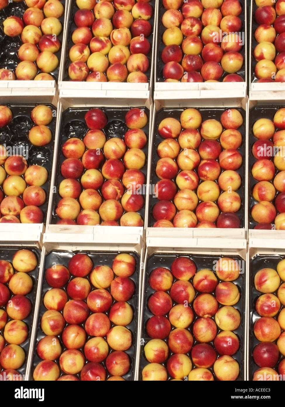 Uk nectarines hi-res stock photography and images - Alamy