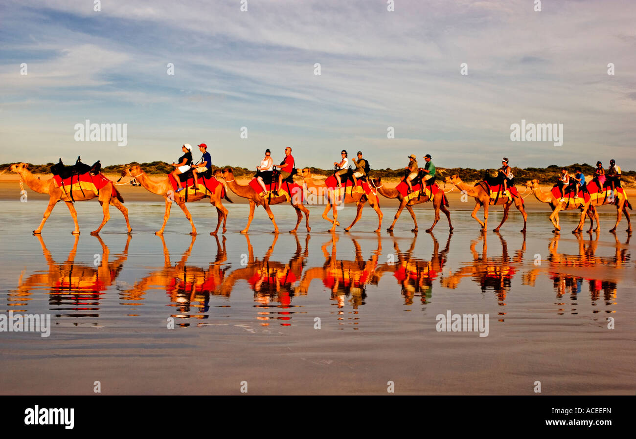 Camel Ride on Cable Beach, Broome, Western Australia Stock Photo - Alamy