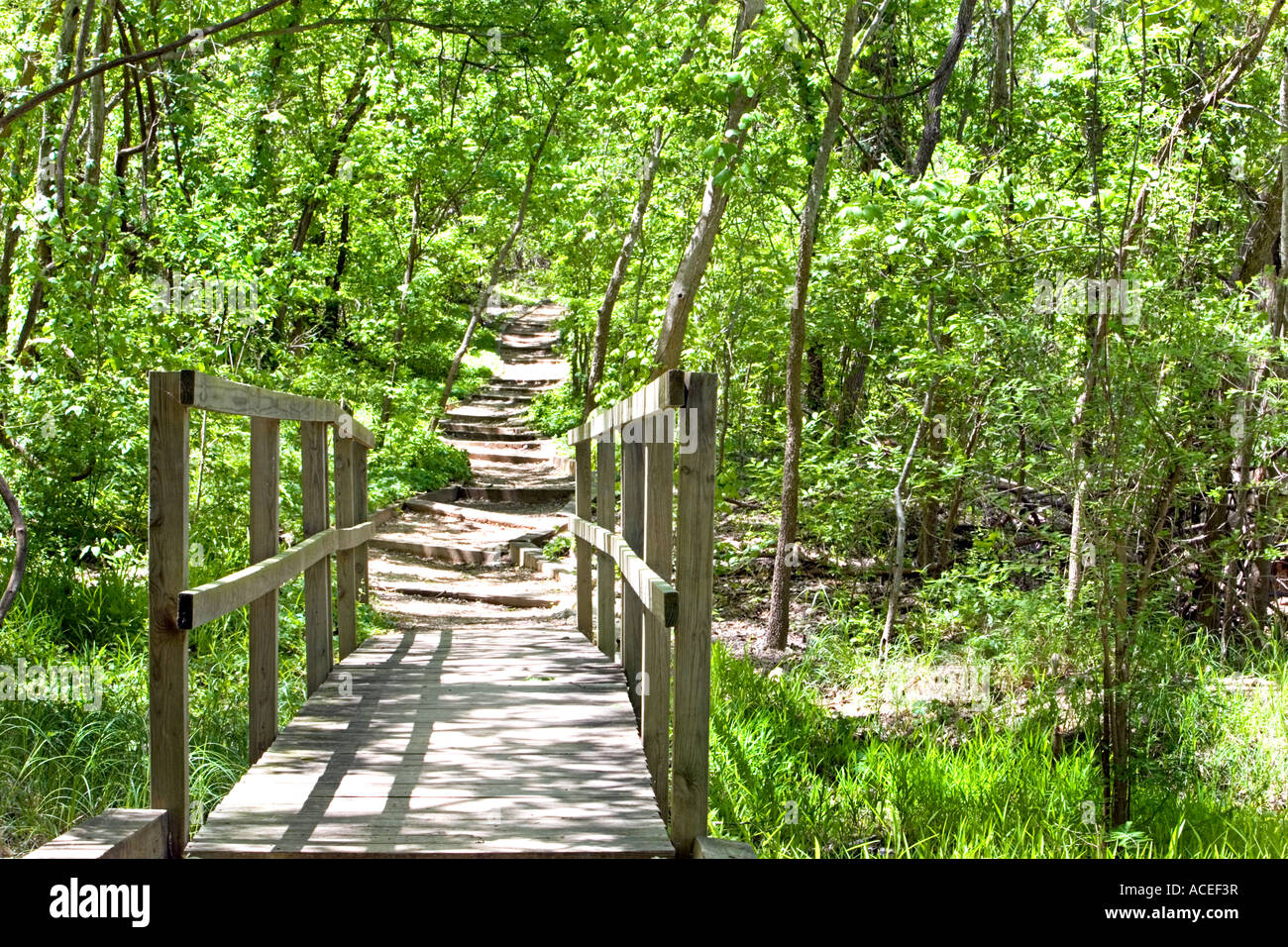 Footbridge path forest Texas Stock Photo - Alamy