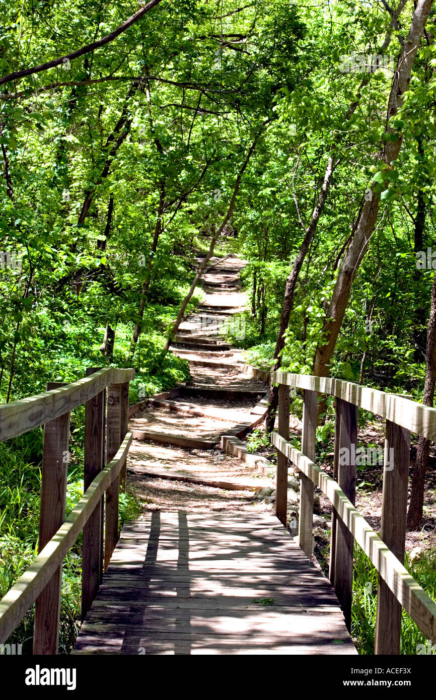 Canopy walk in trees hi-res stock photography and images - Alamy