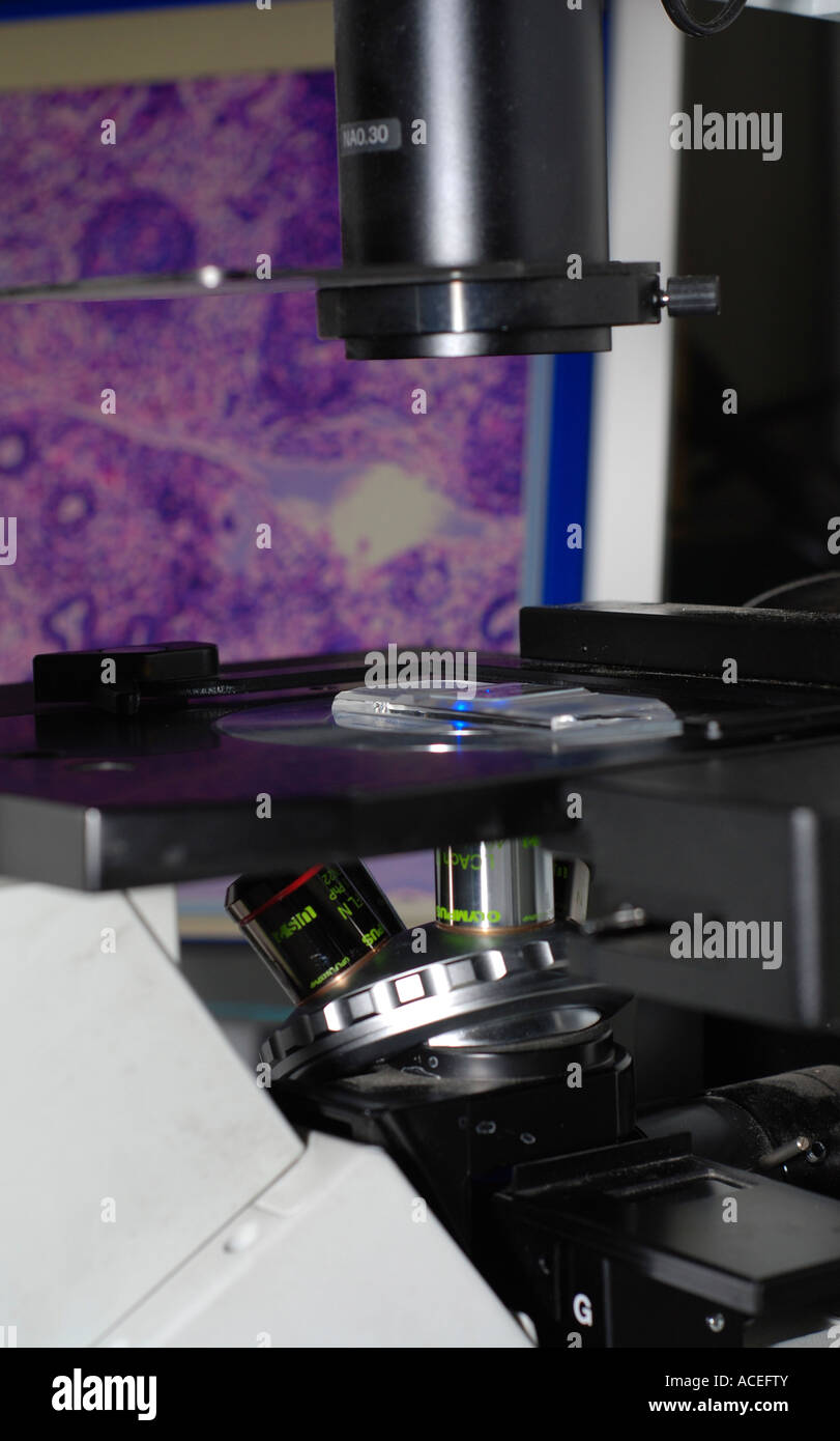 D microscope hi-res stock photography and images - Alamy
