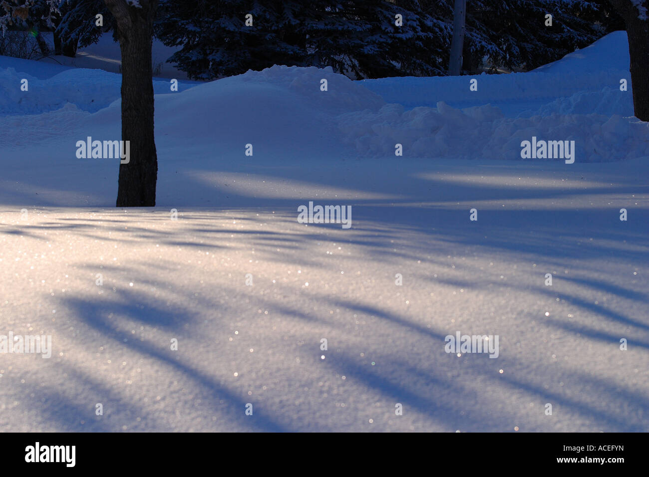 Shadows on Snow Stock Photo - Alamy