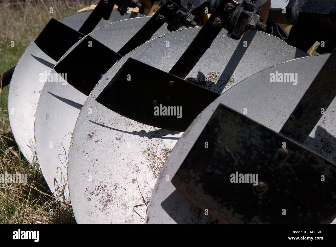 Old disc cultivator Stock Photo - Alamy