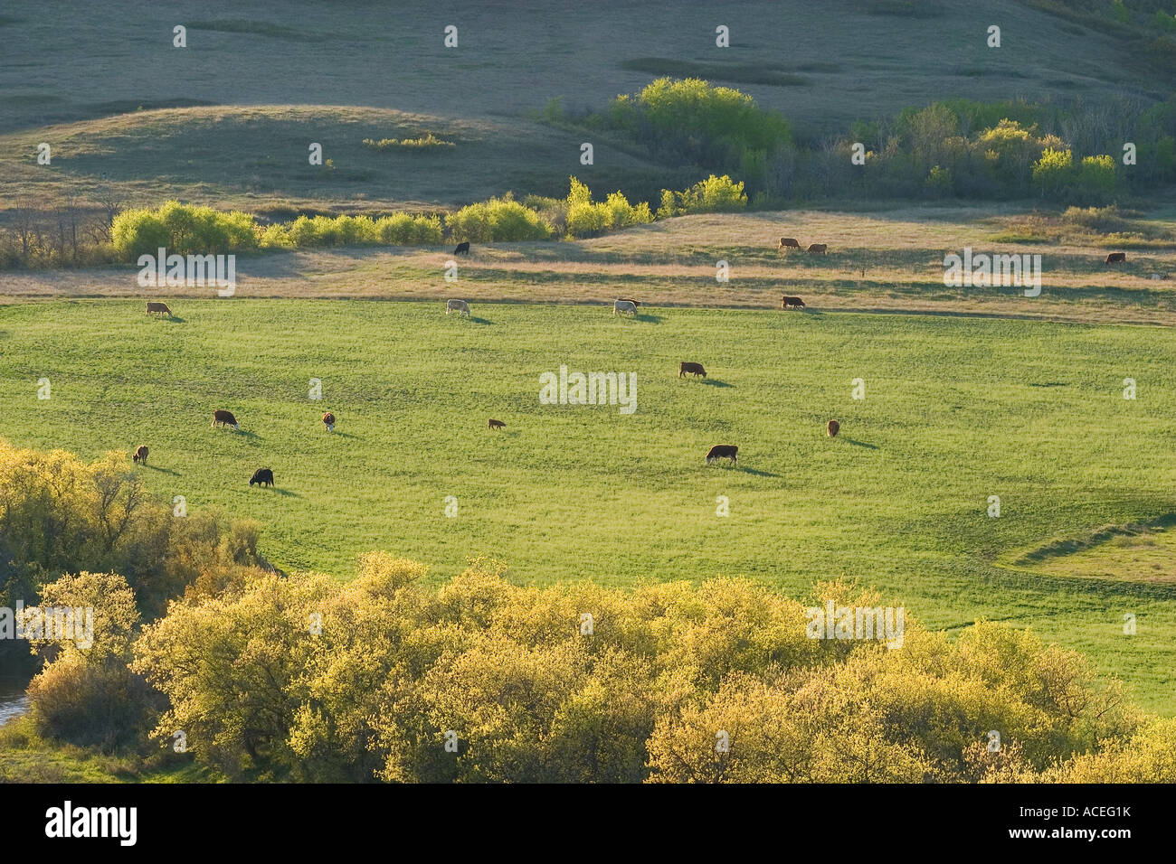 Spring valley saskatchewan hi-res stock photography and images - Alamy