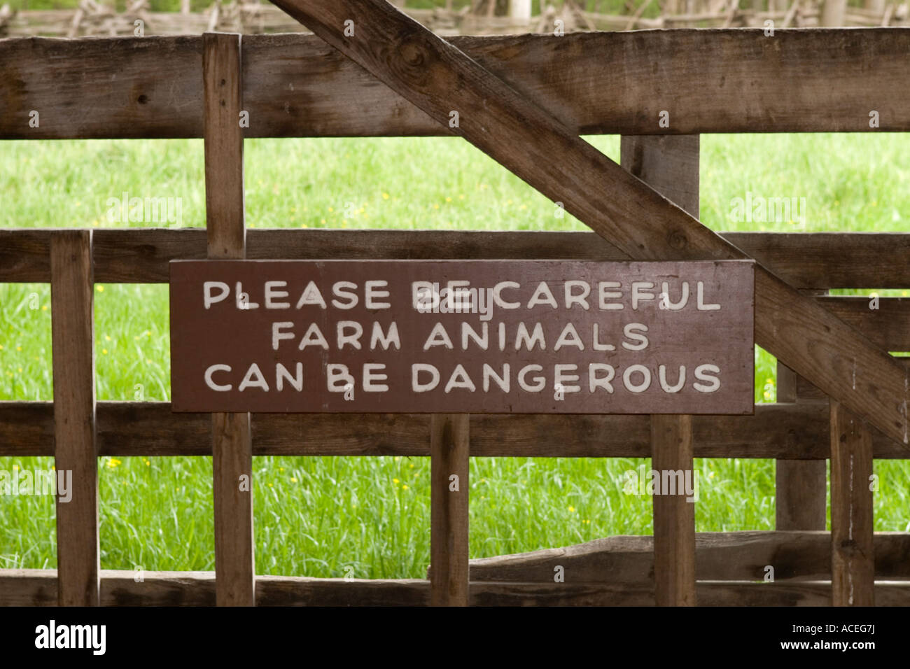 Sign warning of dangerous farm animals ( in Great Smoky Mountains ...