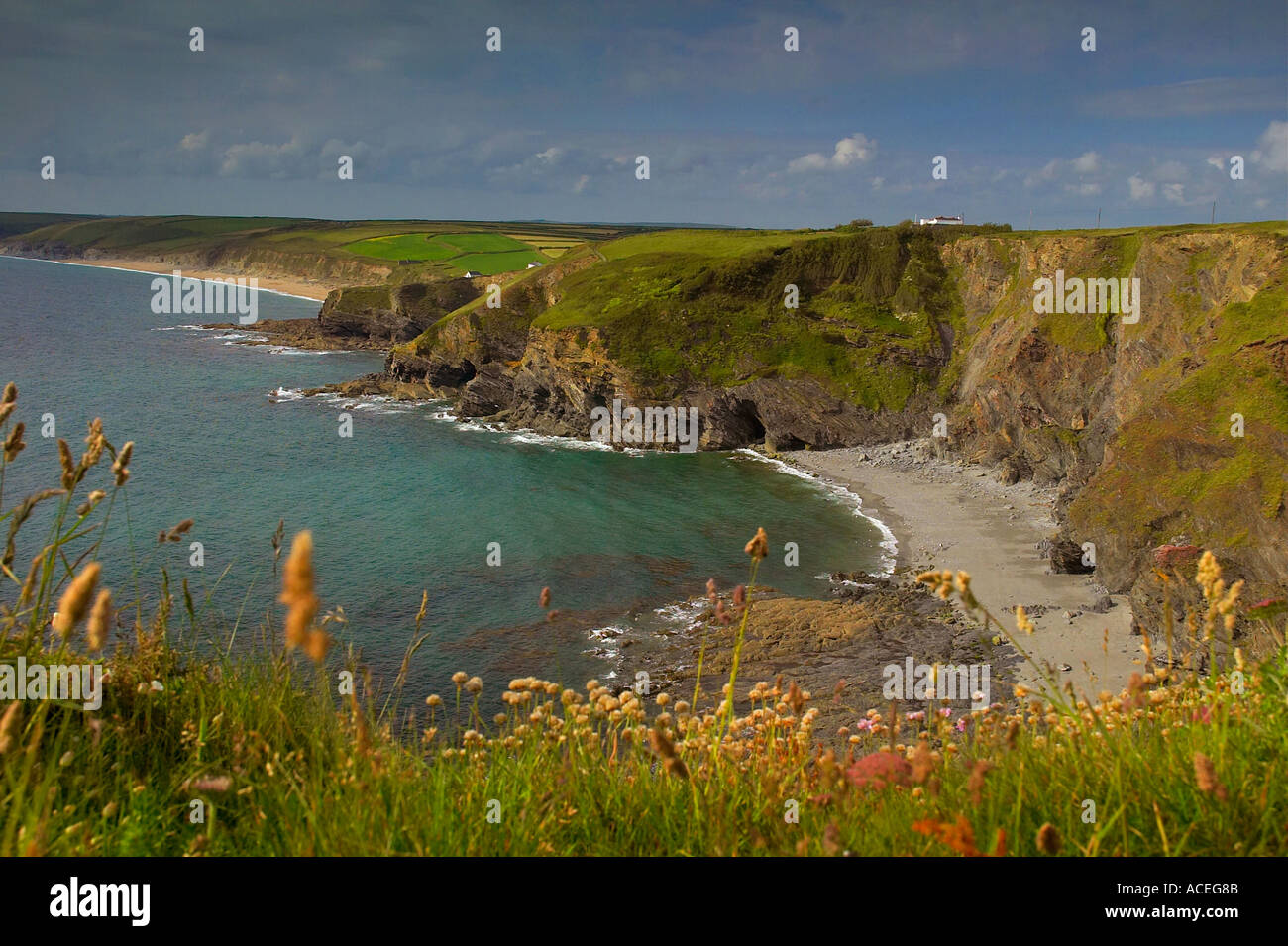 Halzaphron hi-res stock photography and images - Alamy