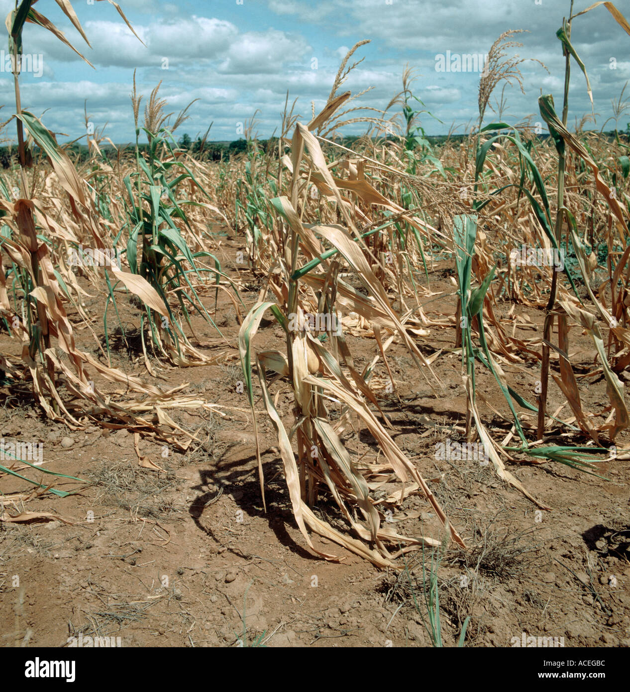 Shortage of rains hi-res stock photography and images - Alamy