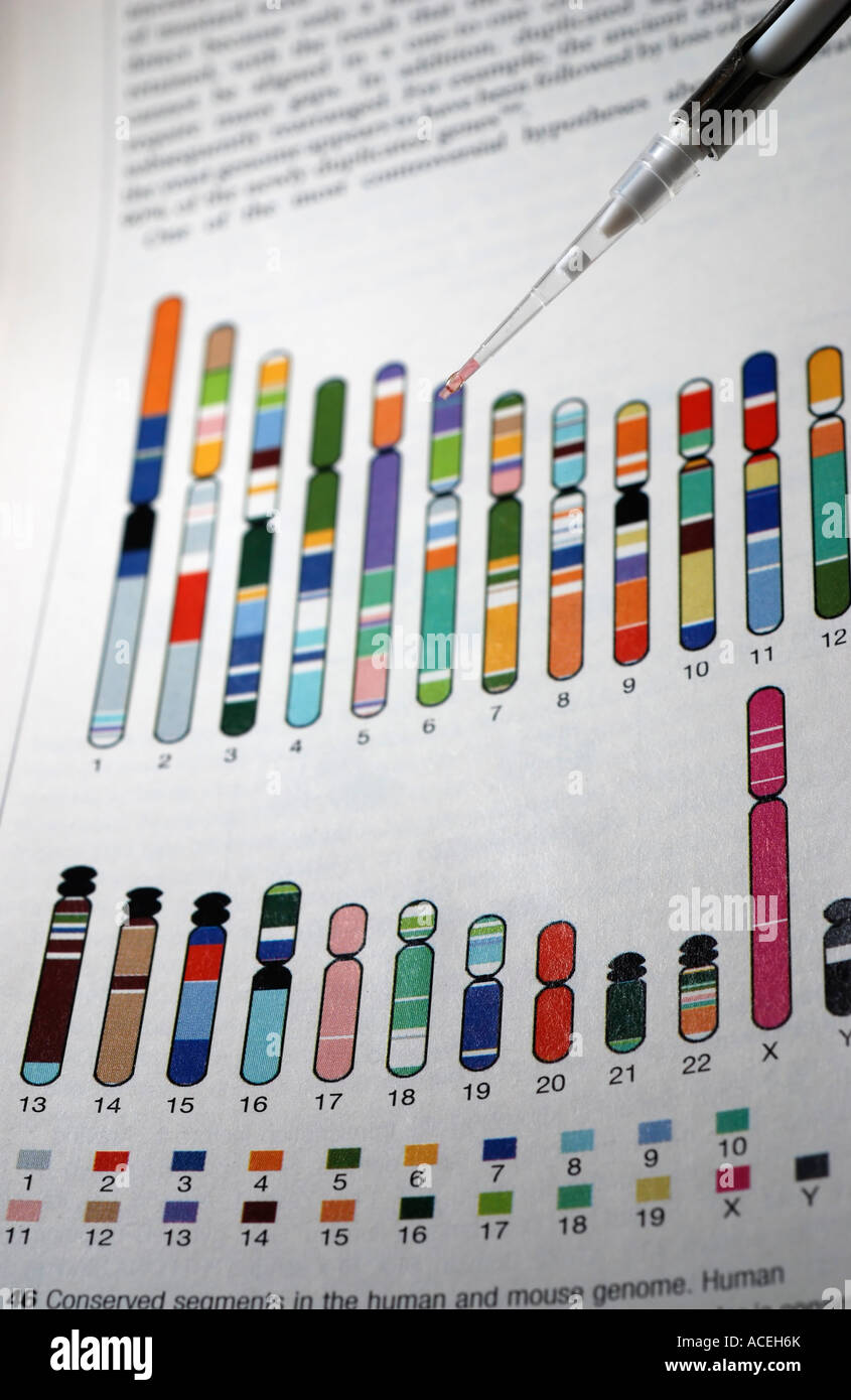 DNA research with graphics charts reference in the background Stock ...