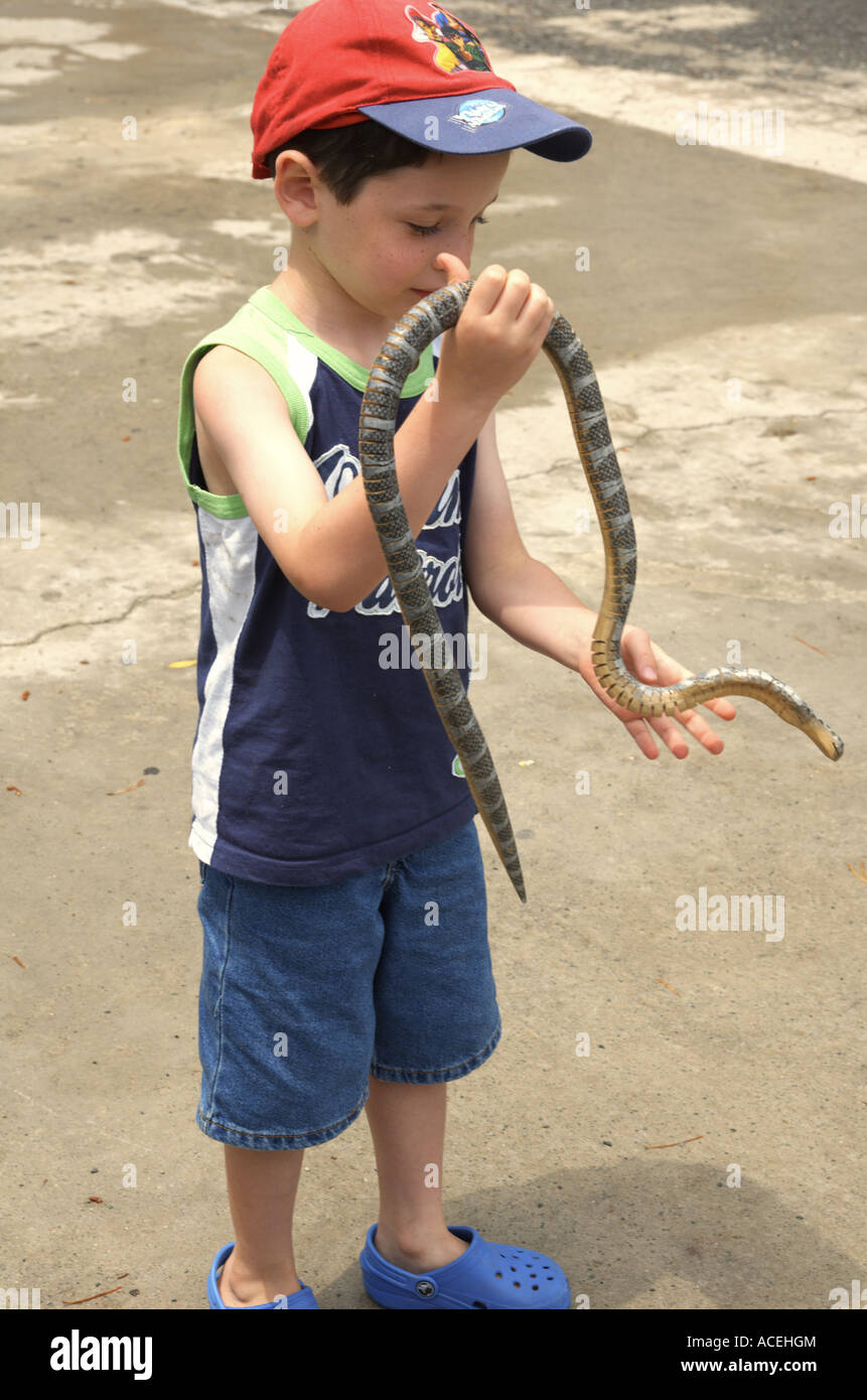 Boy with a snake hi-res stock photography and images - Alamy