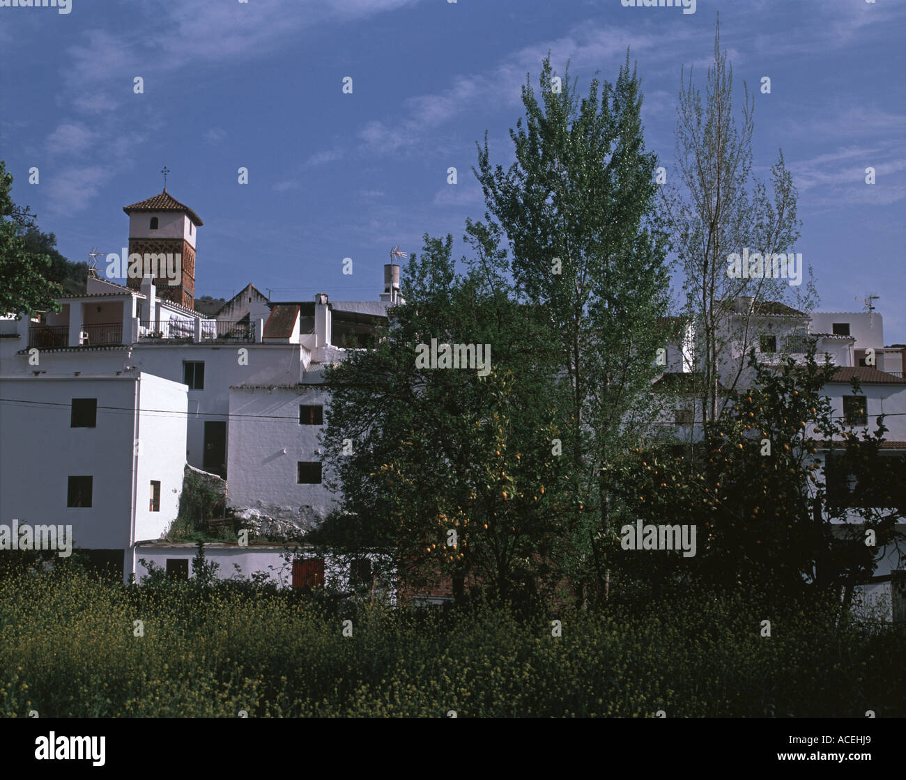 The white village of Archez in the Axarquía Stock Photo - Alamy