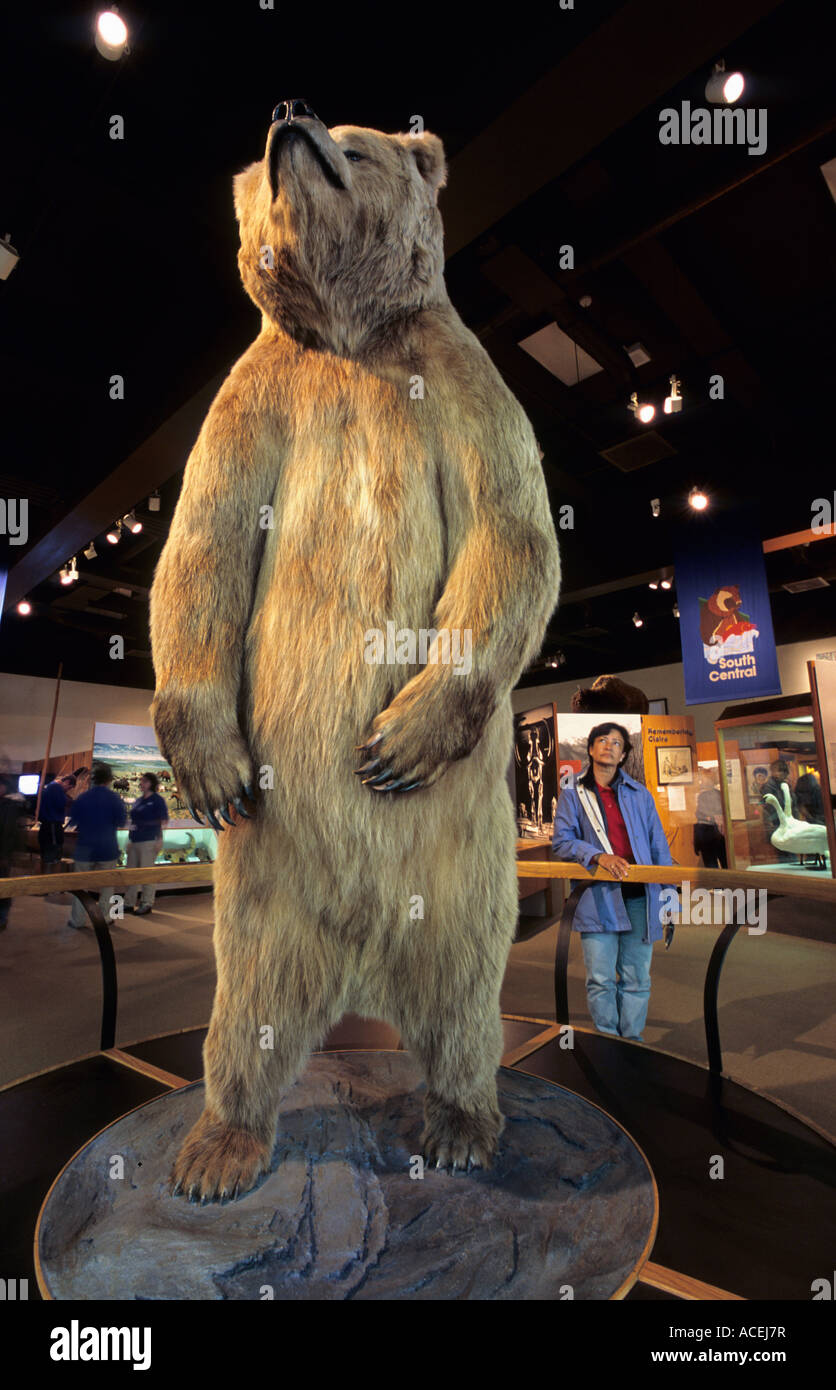 Worlds Largest Grizzly Bear Stuffed Worlds Largest Grizzly Bear Stuffed