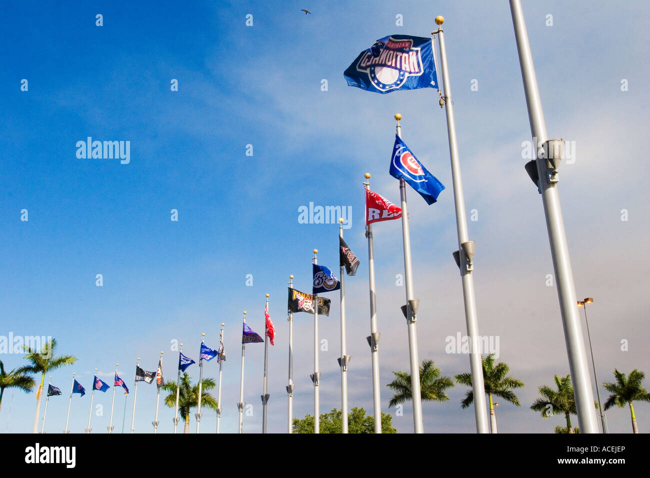 Flagpoles with flags of many of the professional baseball teams in ...