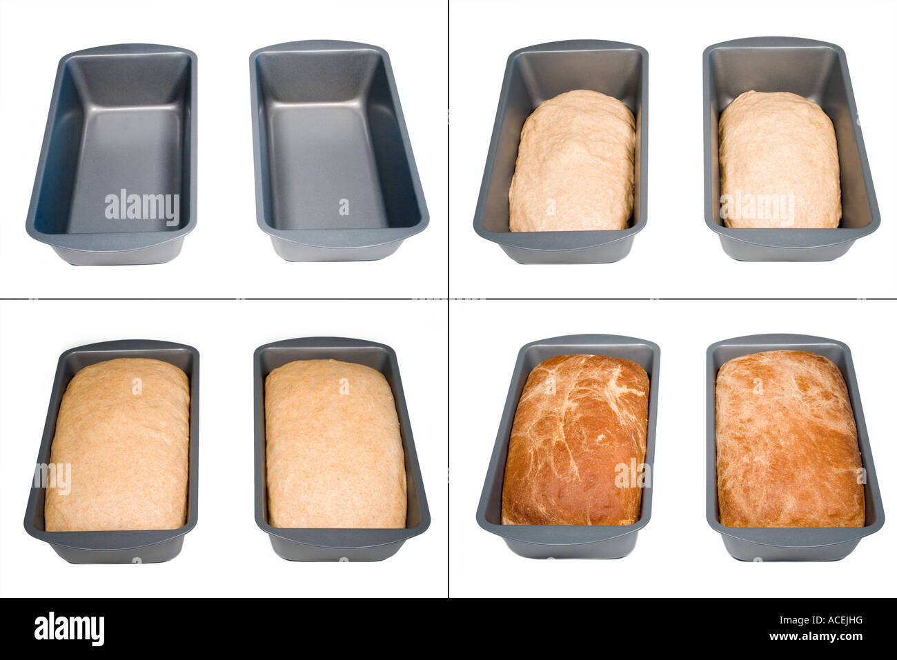 Four stages of baking loaves of whole wheat bread from raw dough to ...