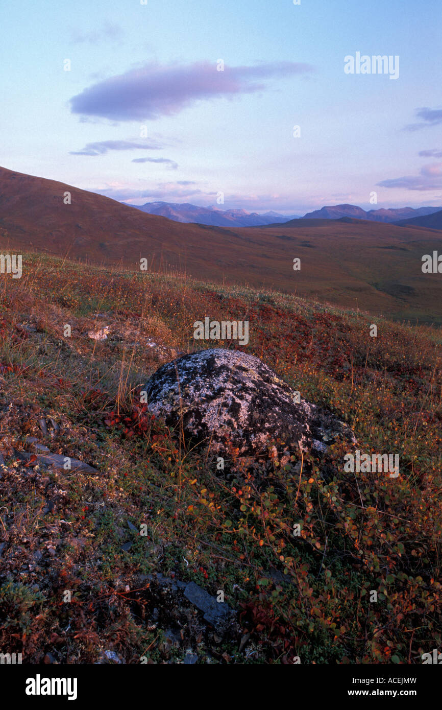 Brooks Range, Gates of the Arctic National Park, Alaska Stock Photo - Alamy