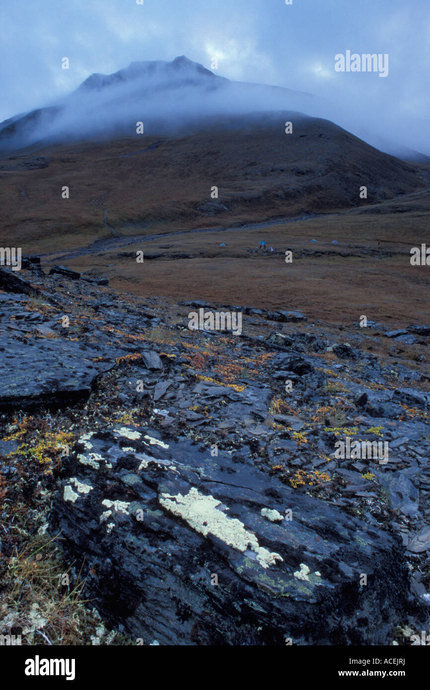 Arctic rain north america hi-res stock photography and images - Alamy